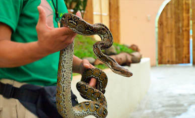 wildworld5 - Ocean Adventure Subic Bay