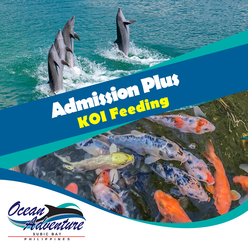 Products Archive - Ocean Adventure, Subic Bay