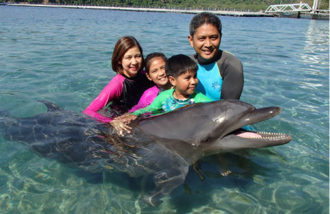 Home - Ocean Adventure Subic Bay
