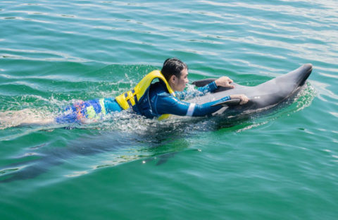 Home - Ocean Adventure Subic Bay