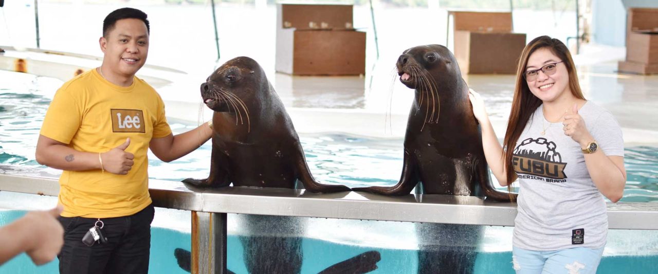 Animal Encounter Day Tour Packages - Ocean Adventure Subic Bay