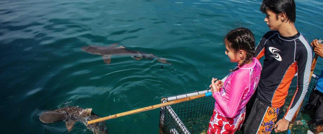 Animal Encounter Day Tour Packages - Ocean Adventure Subic Bay