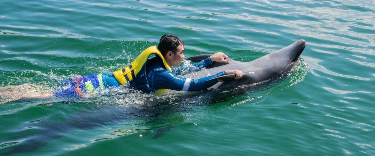 Animal Encounter Day Tour Packages - Ocean Adventure Subic Bay