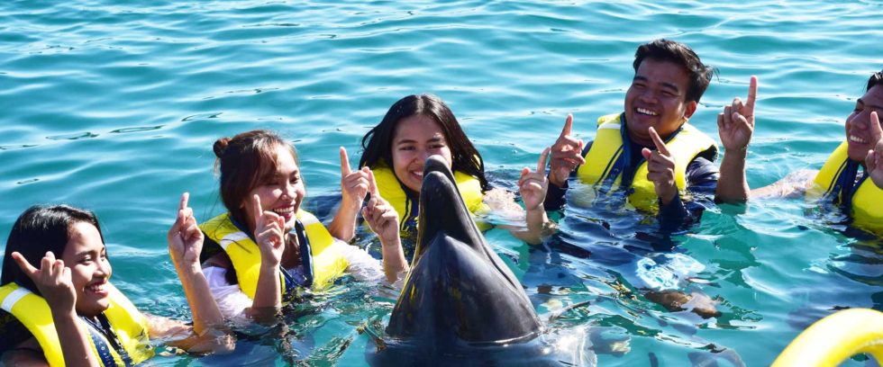 Animal Encounter Day Tour Packages - Ocean Adventure Subic Bay