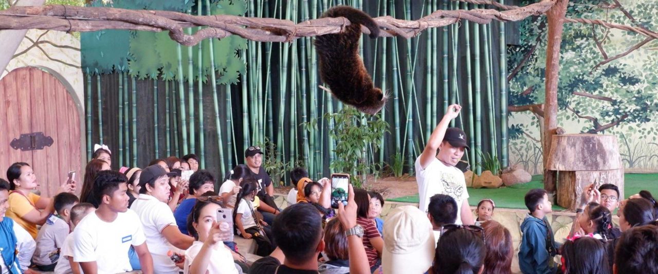 Animal Encounter Day Tour Packages - Ocean Adventure Subic Bay