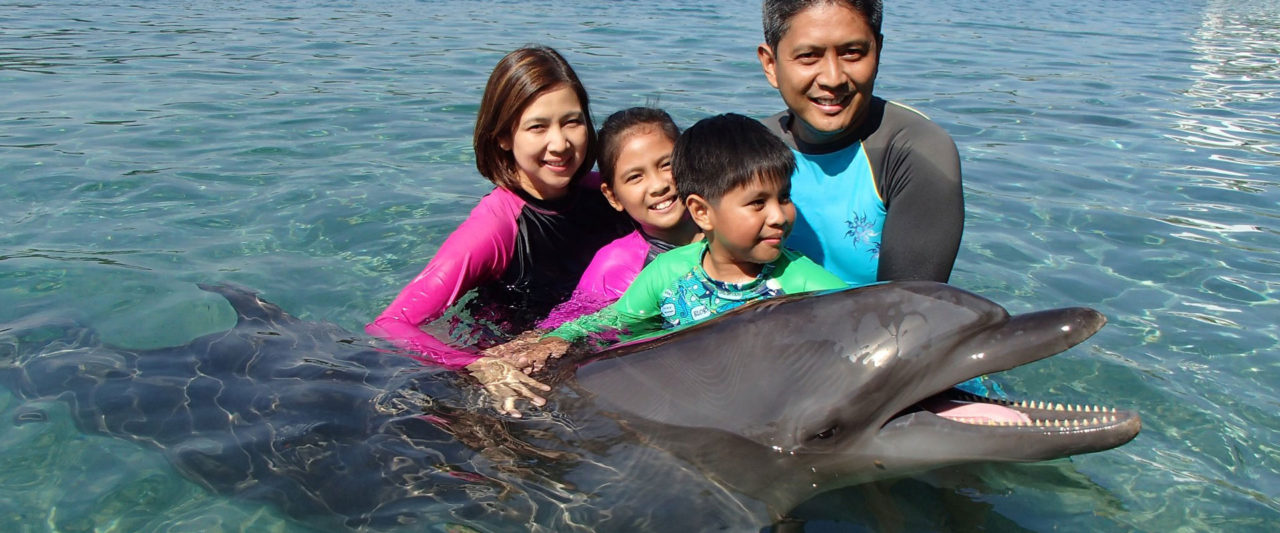 Exclusive Dolphin Swim - Ocean Adventure Subic Bay