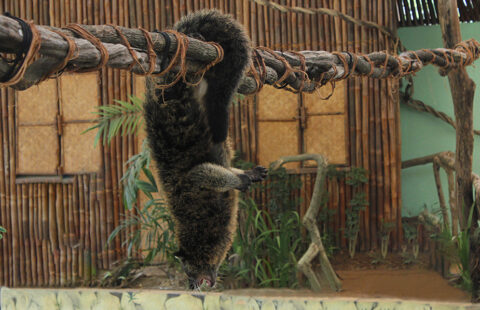 Home - Ocean Adventure Subic Bay