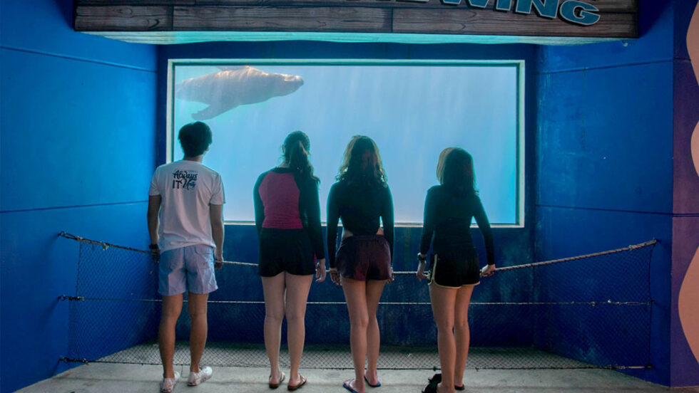 Facilities - Ocean Adventure Subic Bay